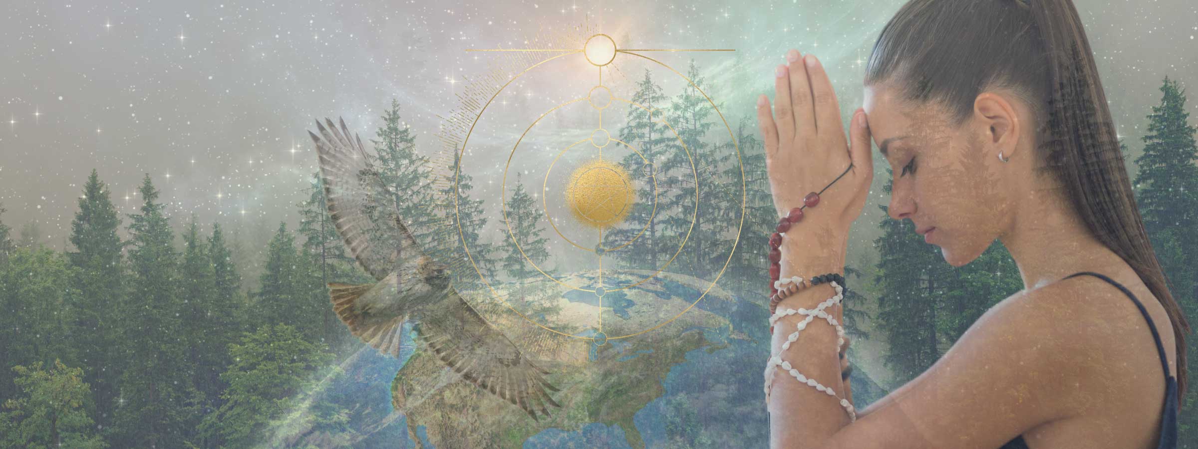 Psychosynthesis Life Coach Certification [Accredited] - Psychospiritual ...